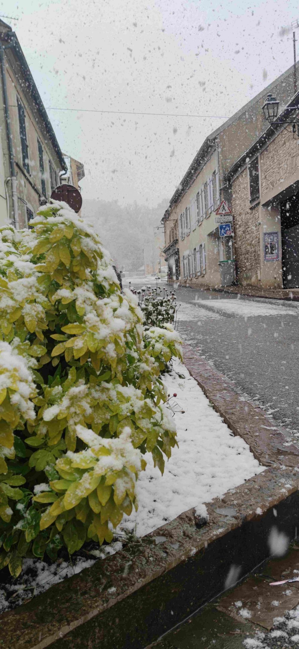 Accueil | Feucherolles