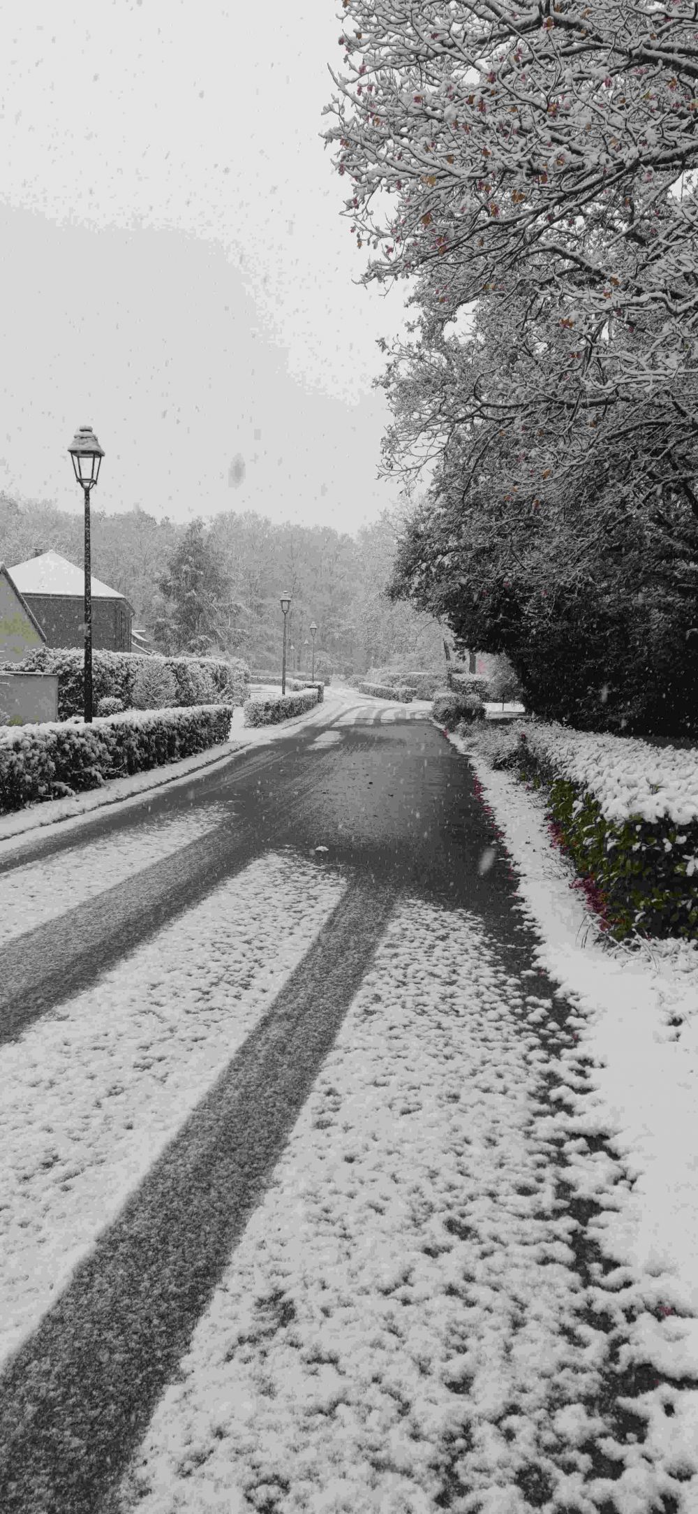 Accueil | Feucherolles