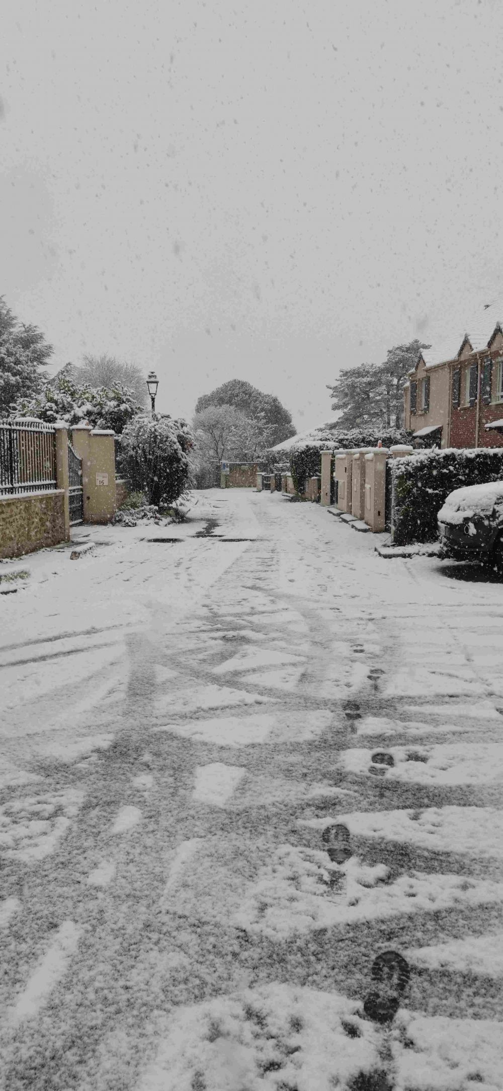 Accueil | Feucherolles