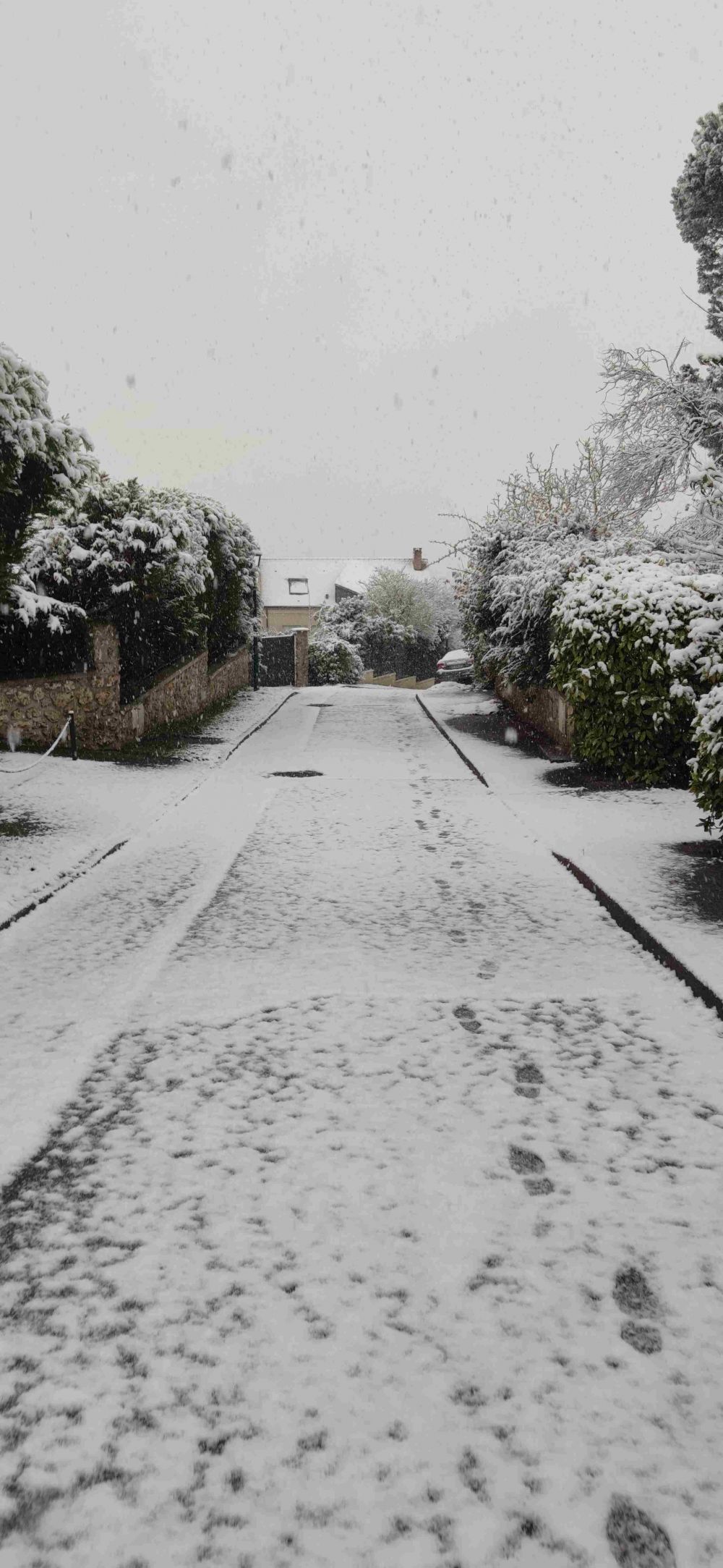 Accueil | Feucherolles