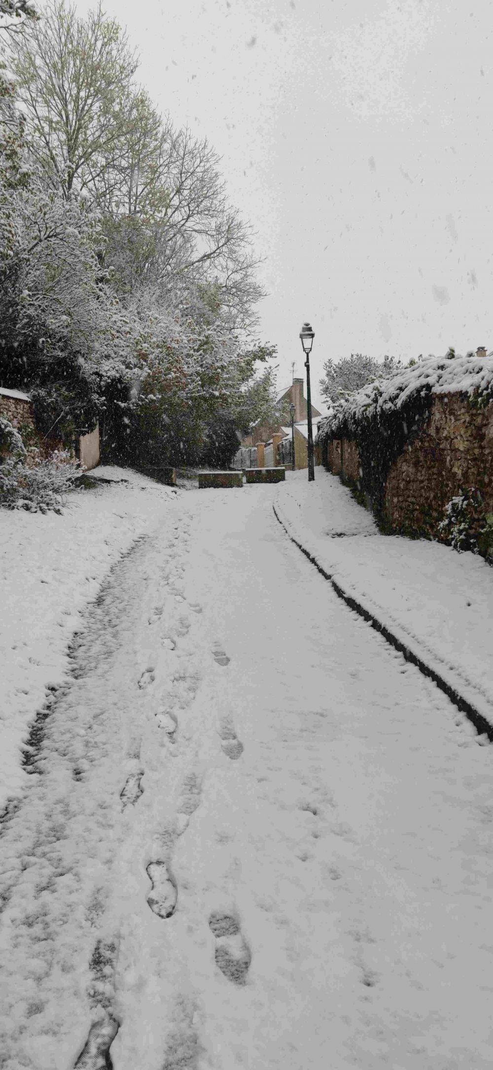 Accueil | Feucherolles